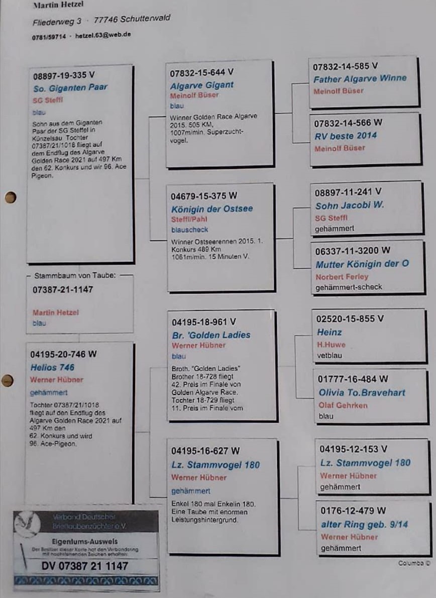 DV07387-21-1147 ERKEK / KENDİSİ YARIŞMIŞTIR 169. FİNAL RACE & 99. YARI FİNAL