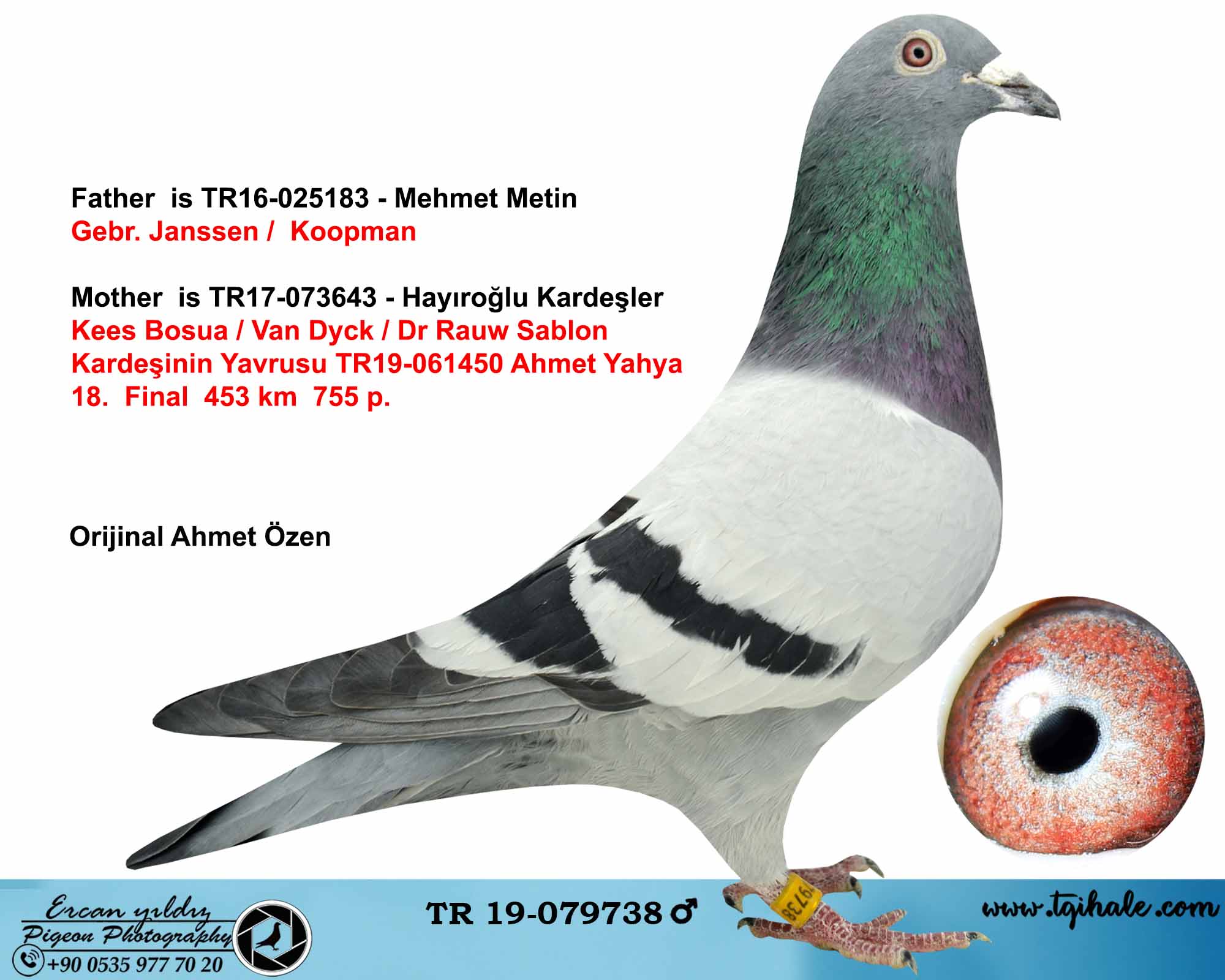 TR19-079738 ERKEK / BABASI JANSSEN - KOOPMAN ANNESİ / BOSUA - VAN DYCK