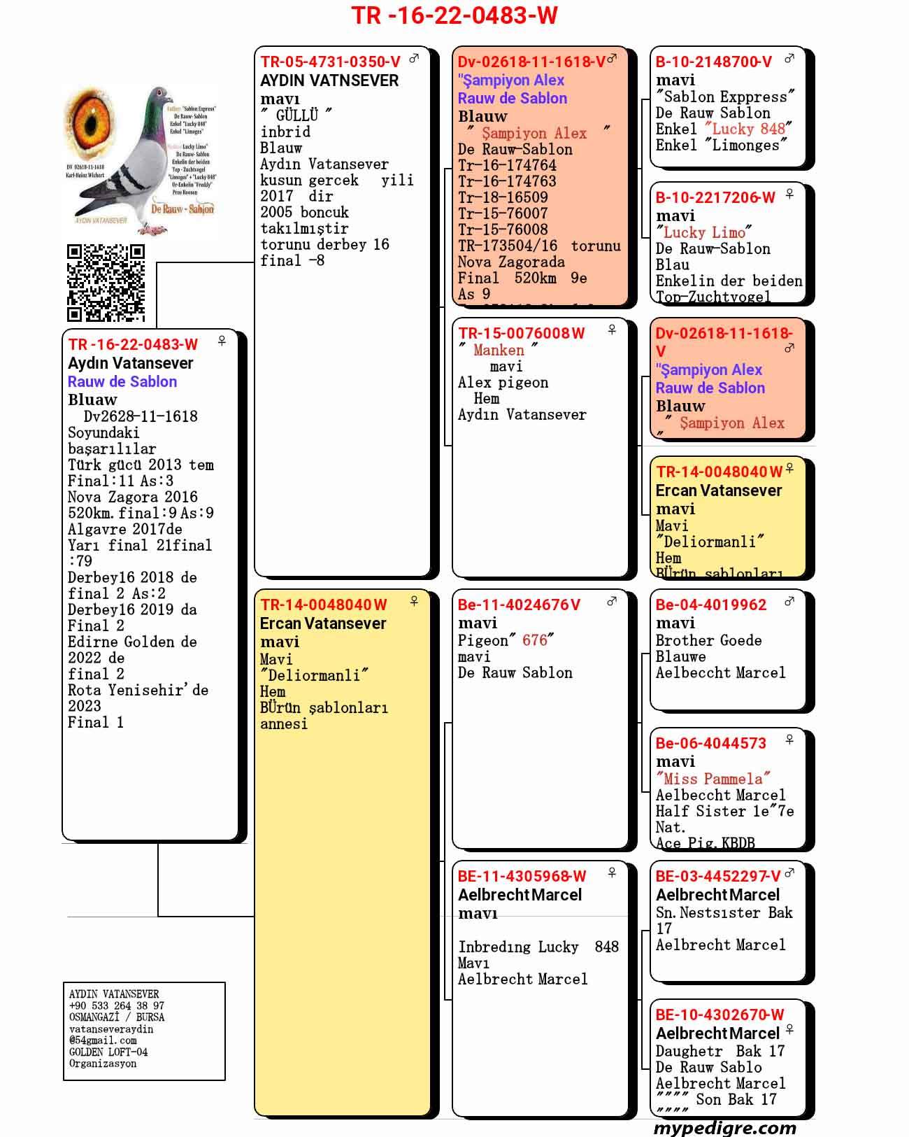 TR22-16-00483 ERKEK / DE RAUW SABLON