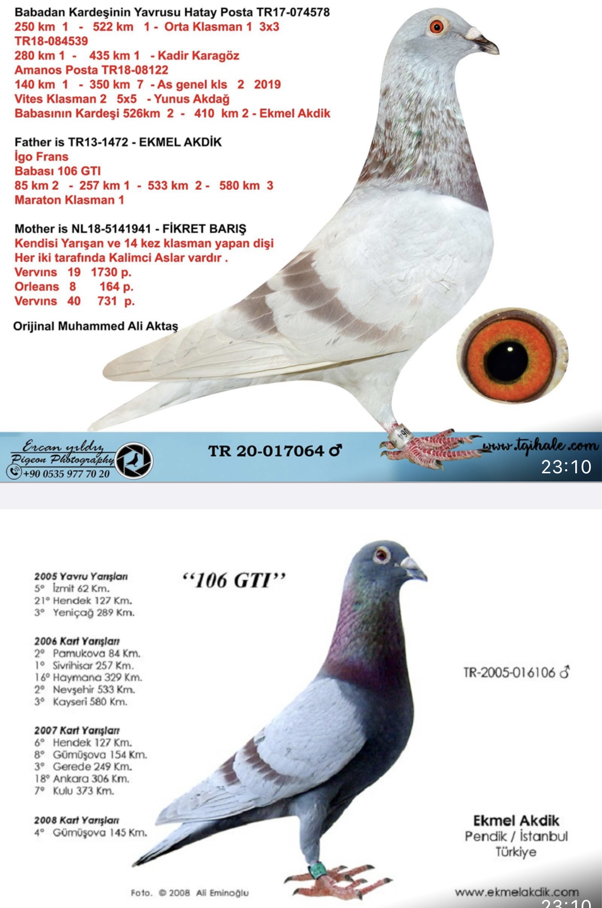 TR23-59-2076 ERKEK / TAM KARDEŞİ JAMES BOND 007 - 3 KUPALI